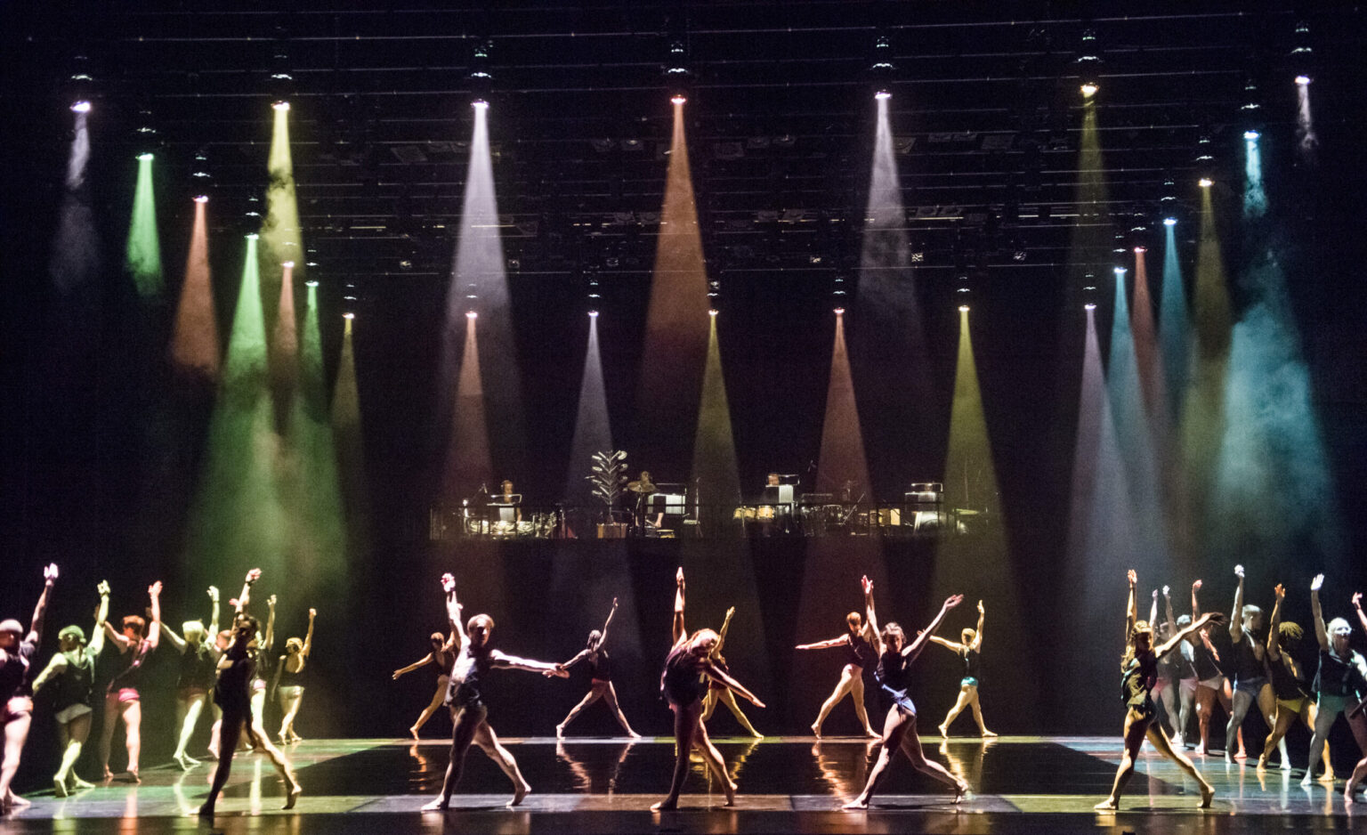A Linha Curva - Rambert Classroom